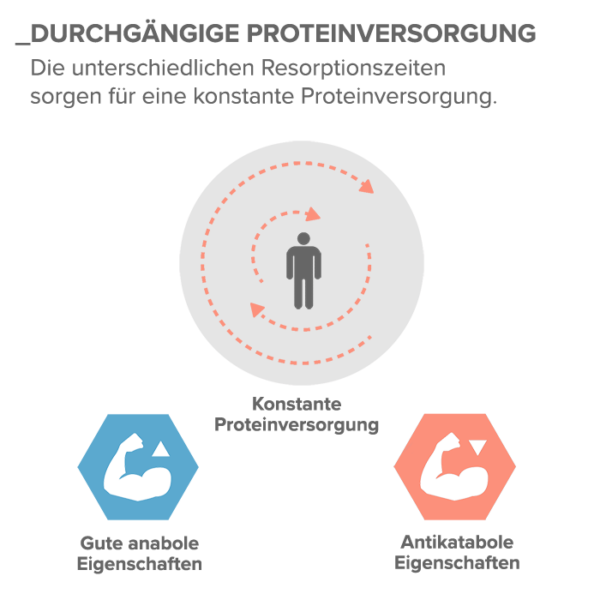 Mehrkomponenten Protein: Test & Erfahrungen (03/20) | Die besten Blends